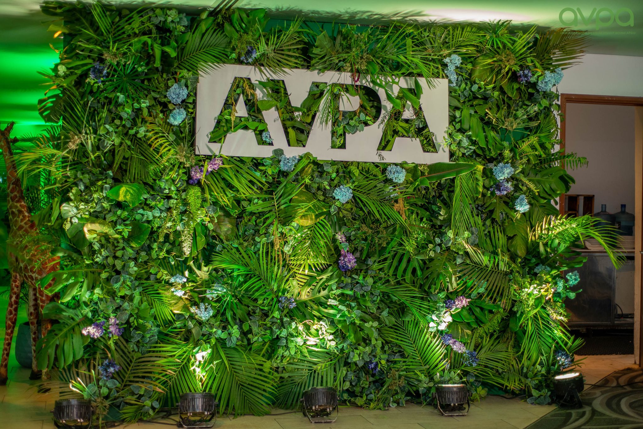 Who We Are - African Venture Philanthropy Alliance (AVPA)