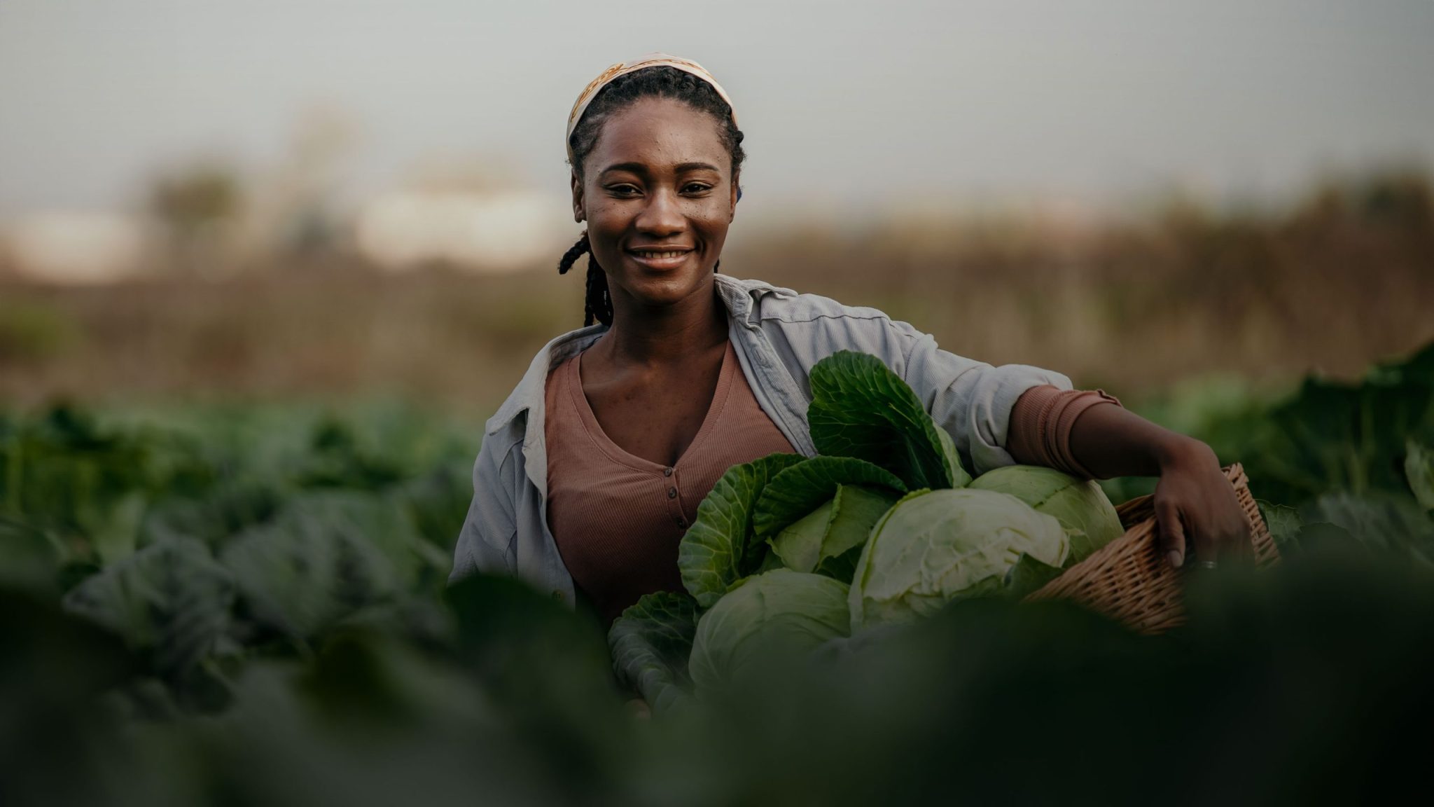 Who We Are - African Venture Philanthropy Alliance (AVPA)